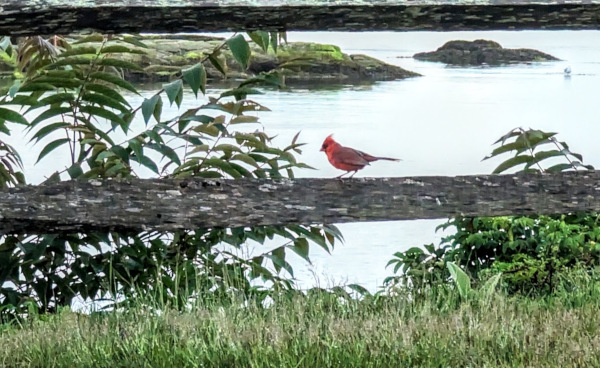 Spring Sabbatical 2026 for Women Religious | MERCY BY THE SEA
